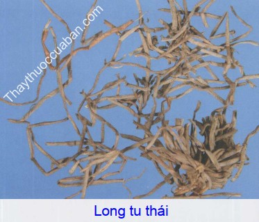 Long tu, tác dụng chữa bệnh của Long tu