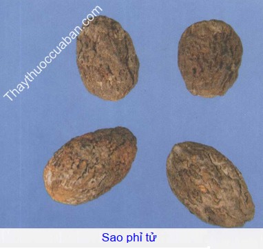 Phi tử - Tác dụng chữa bệnh của vị thuốc Phi tử